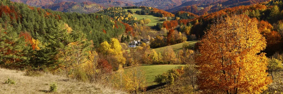 O que é Zona Temperada? Entenda a forma que cai no Enem!